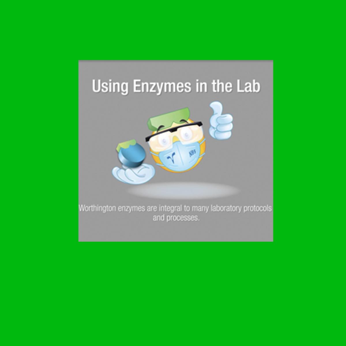 Worthington Announces the Availability of the Introduction to Enzymes ...
