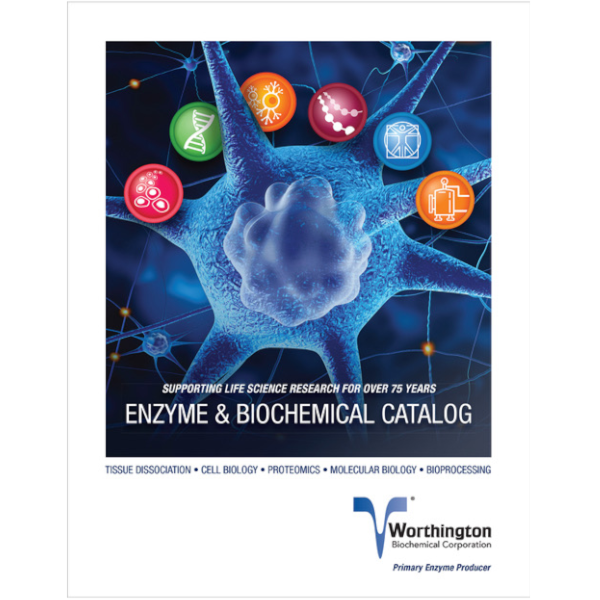 Primary Enzyme Producer Worthington Biochemical Announces New Product ...